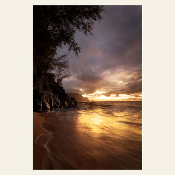 Ocean Landscape Photography for Soulful Homes | Best in PNW